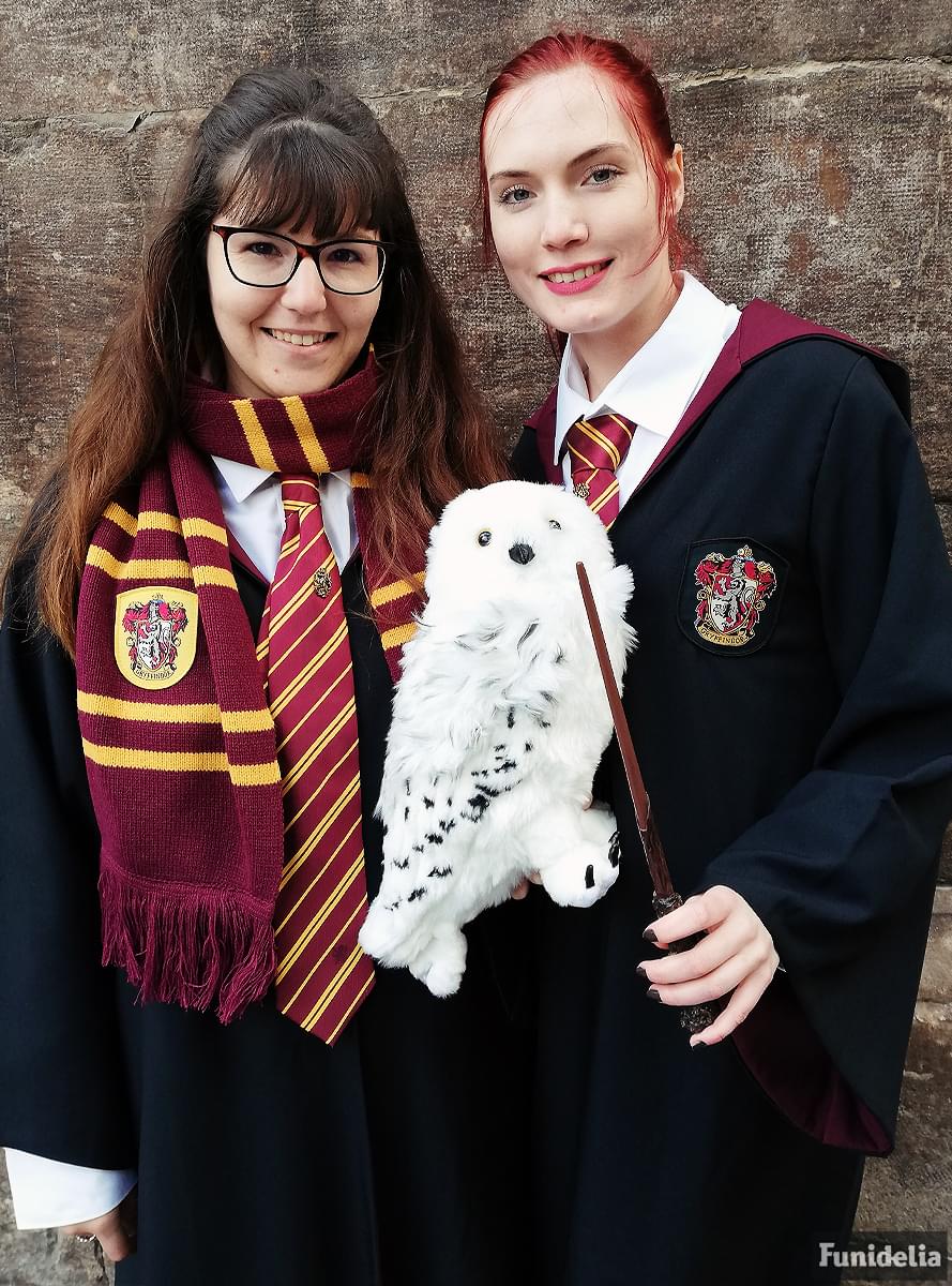 Peluche di Edvige La Civetta di Harry Potter 36 cm | Funidelia
