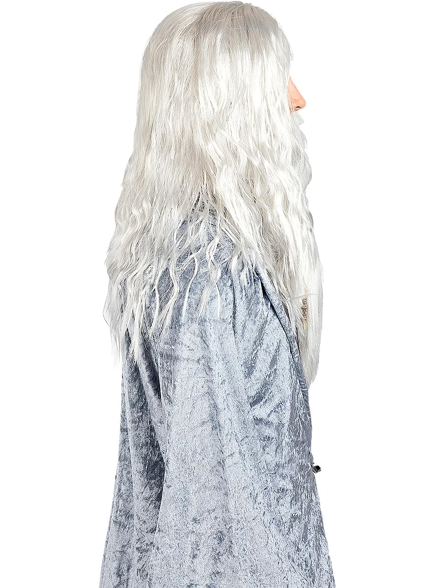 Dumbledore Wig and Beard - Harry Potter | Funidelia