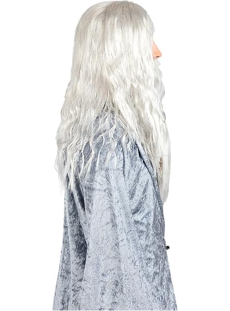 Dumbledore Wig and Beard - Harry Potter | Funidelia