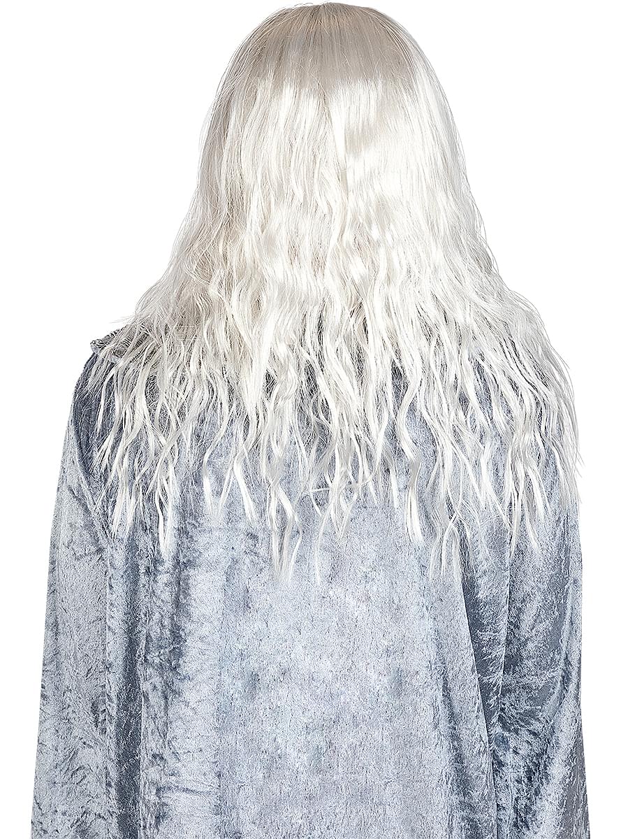 Dumbledore Wig and Beard - Harry Potter | Funidelia