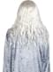 Dumbledore Wig and Beard - Harry Potter. 24hr Delivery | Funidelia