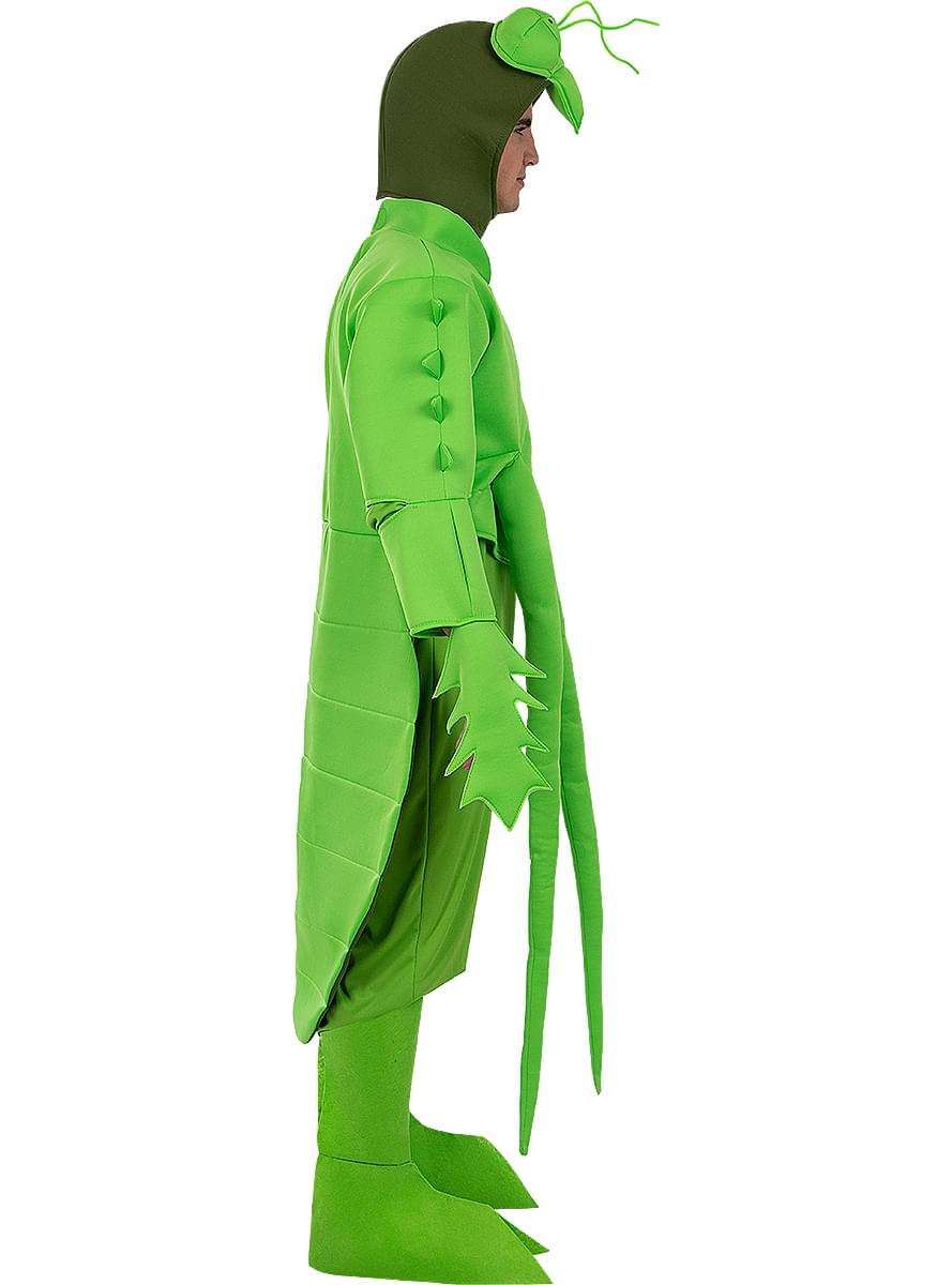 Mantis Costume | Funidelia