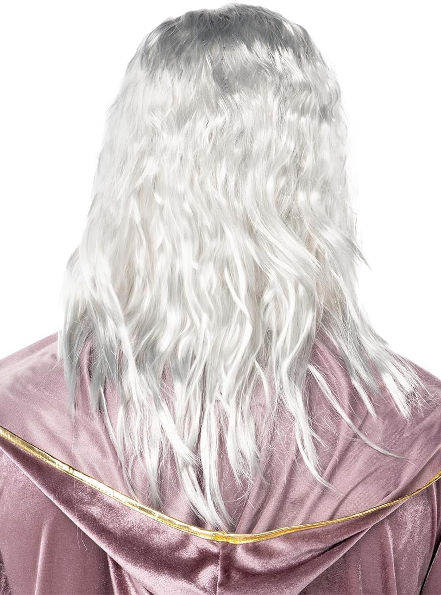 Dumbledore Wig and Beard - Harry Potter | Funidelia