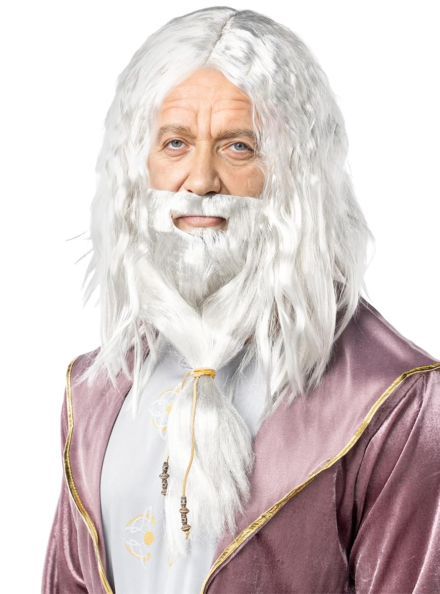 Dumbledore Wig and Beard - Harry Potter | Funidelia