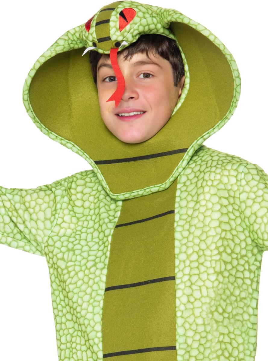 Snake Costume for Kids | Funidelia