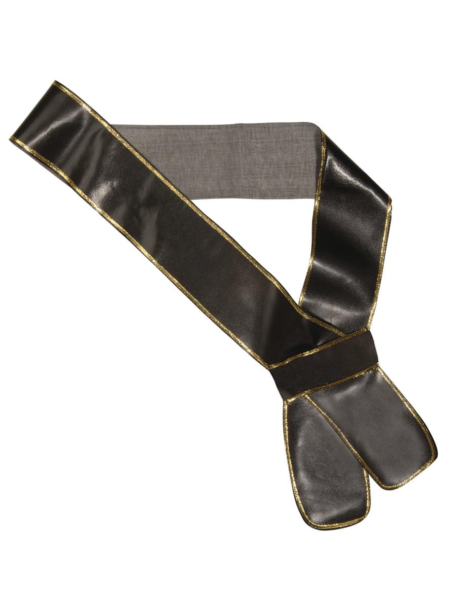 Leather look sword sash | Funidelia